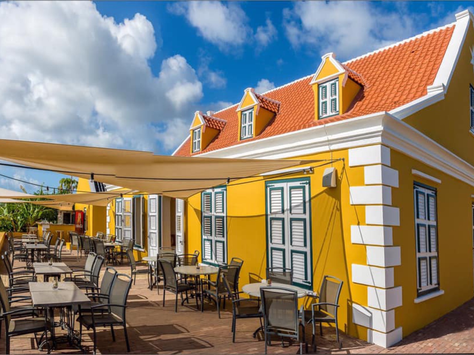Homepage | Authentic Nature Experiences in Curaçao – Discover Banda Bou